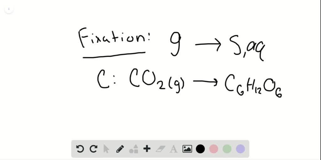 SOLVED:Define fixation. Name two elements that undergo environmental ...