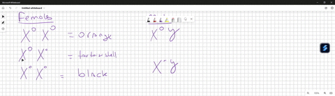 The gene for coat color in some breeds of cats is found on the X ...