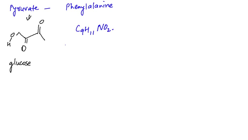SOLVED:Write an equation to illustrate transamination between leucine ...