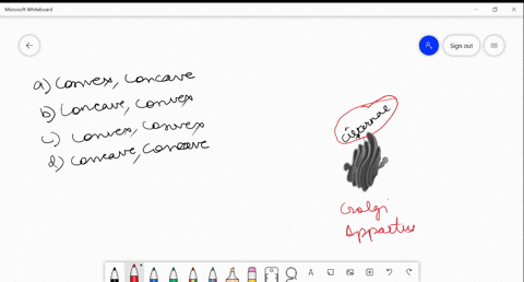 SOLVED:Cis and trans face of golgi body are and respectively. (a ...