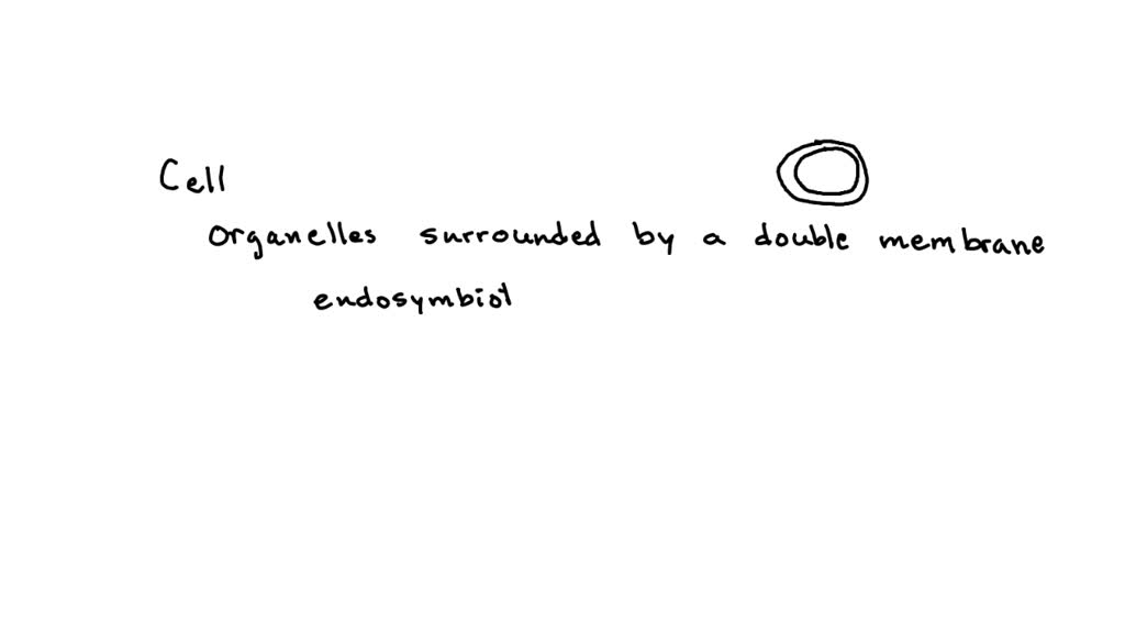 ⏩SOLVED:Recall Which organelles are surrounded by a double membrane ... ⏩SOLVED:Recall Which organelles are surrounded by a double membrane ...