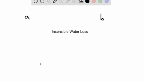 SOLVED:Insensible water loss is water lost via . a. skin evaporation ...