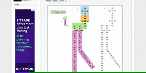 SOLVED:In 1935, Davson and Danielli described a "sandwich model" for ...