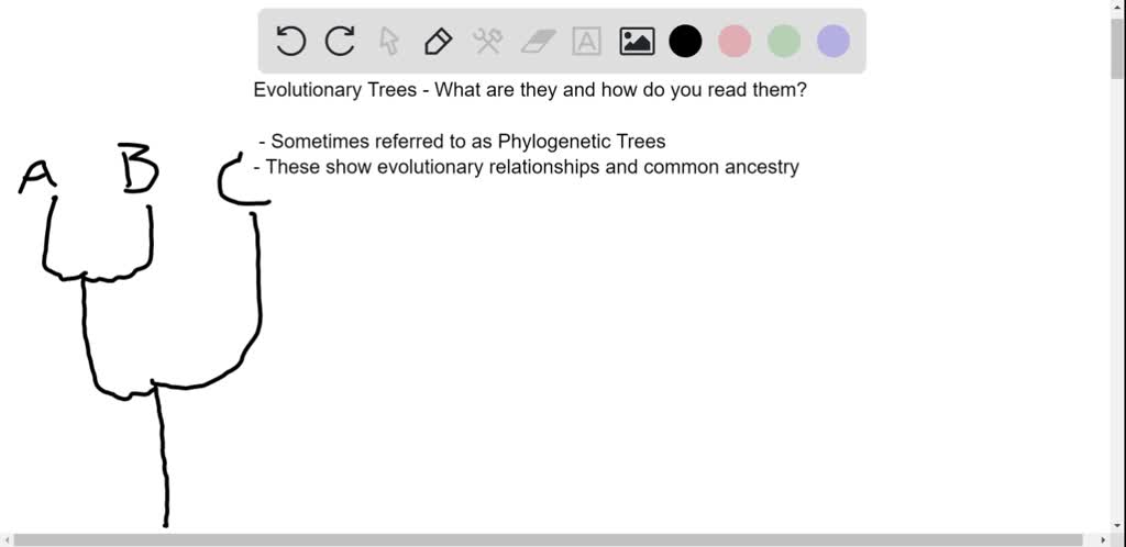 Solved What Is A Tree Data Structure And What Are Its Basic Components