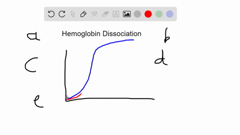 SOLVED:Concerning the haemoglobin-oxygen dissociation curve: A. Low pH ...
