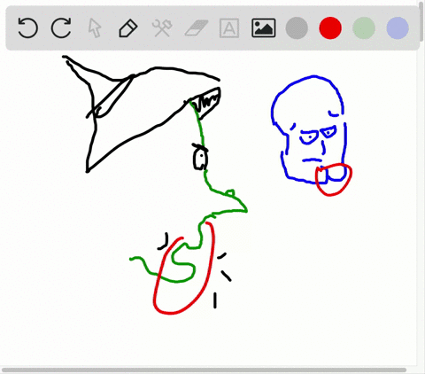 A prominent chin is typical of . a. Homo sapiens b. Homo habilis c ...