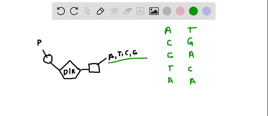 SOLVED:If the analysis of DNA from two different microorganisms ...