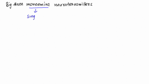 SOLVED:Name the "big three" monoamine neurotransmitters.