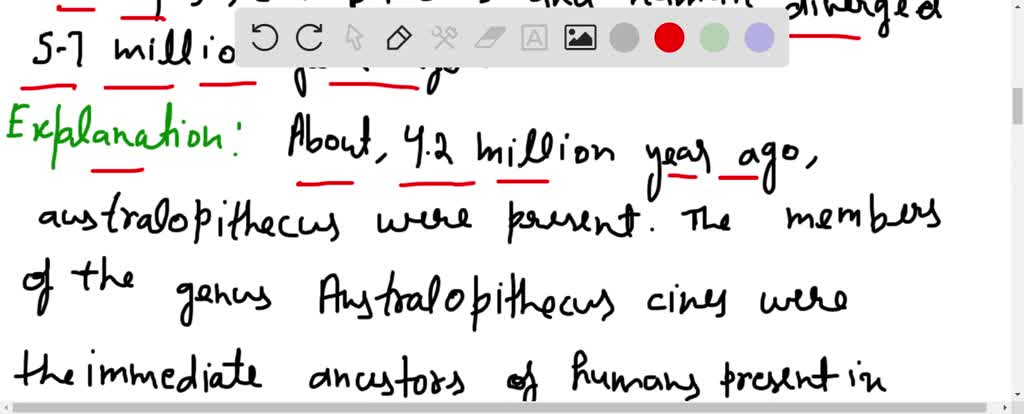 Why are the fossils discovered from Herto so important? How does this ...
