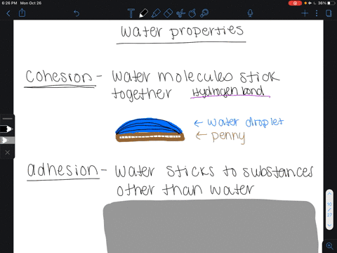 SOLVED:Give an example from everyday life of each of the following ...