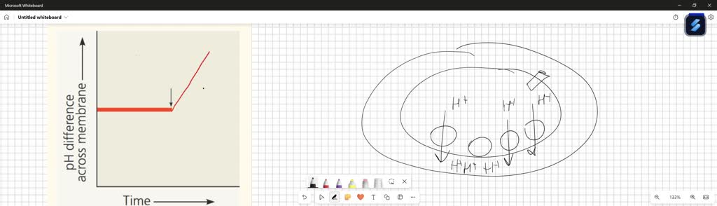SOLVED: DRAW IT The graph here shows the pH difference across the inner ...