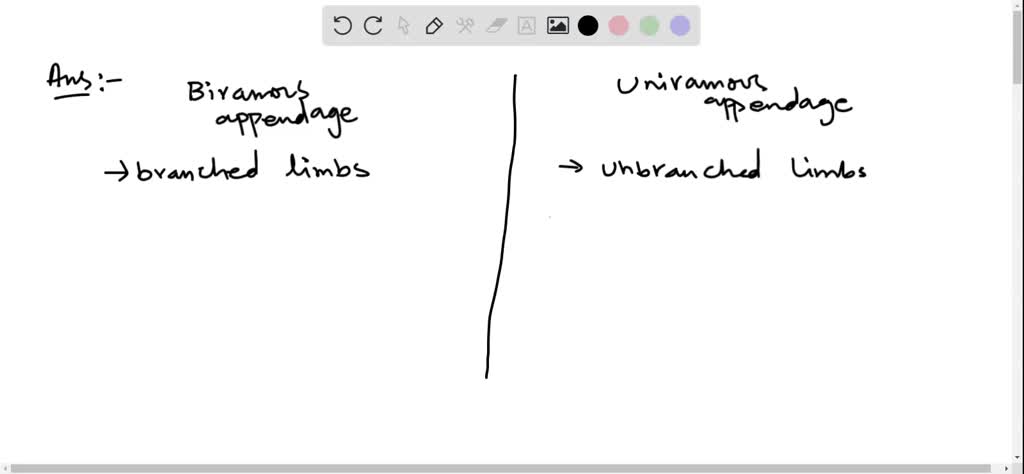 SOLVED: How do biramous and uniramous appendages differ? | Numerade