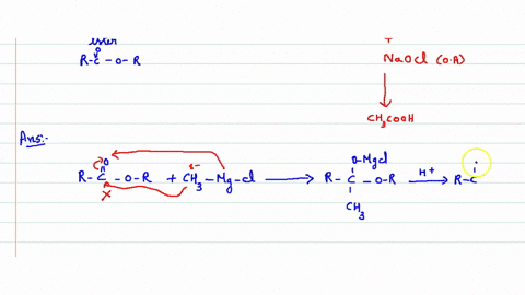 SOLVED:An organic compound ' X ' with a molecular formula C4 H8 O2 when ...