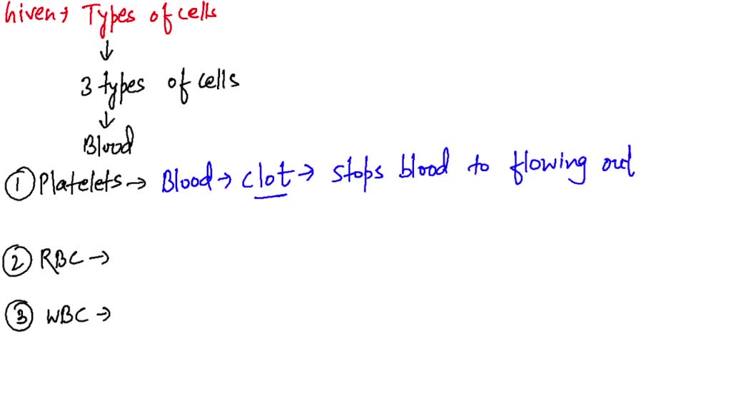 SOLVED:Name the three types of lymphocytes and identify their functions,