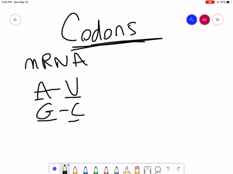 SOLVED:The AUC and AUA codons in mRNA both specify isoleucine. What ...