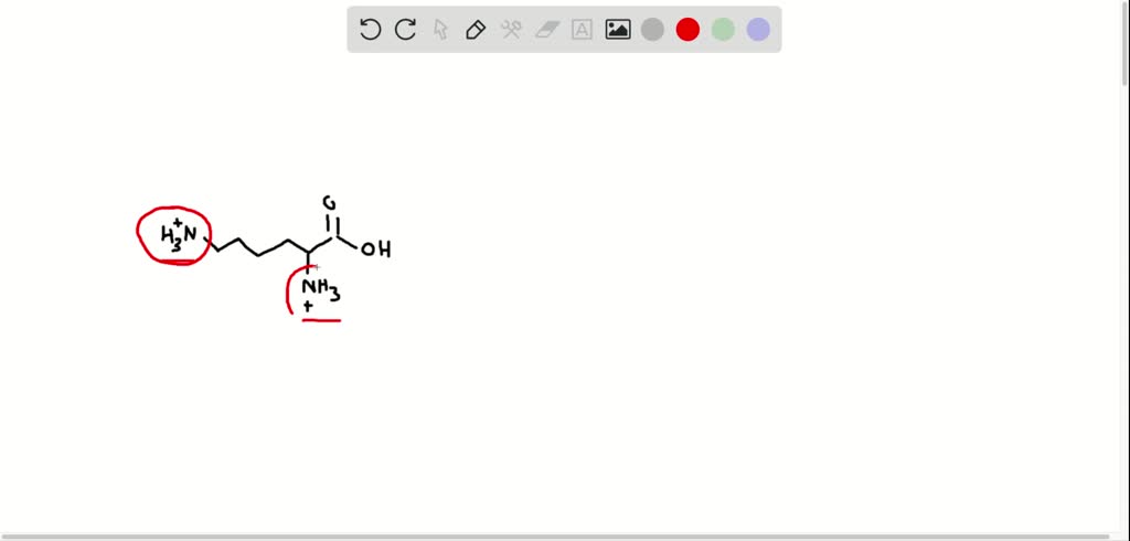 SOLVED:Explain why the pI of lysine is the average of the p Ka values ...