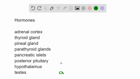 SOLVED:Matching: Match the following endocrine organs with the hormone ...