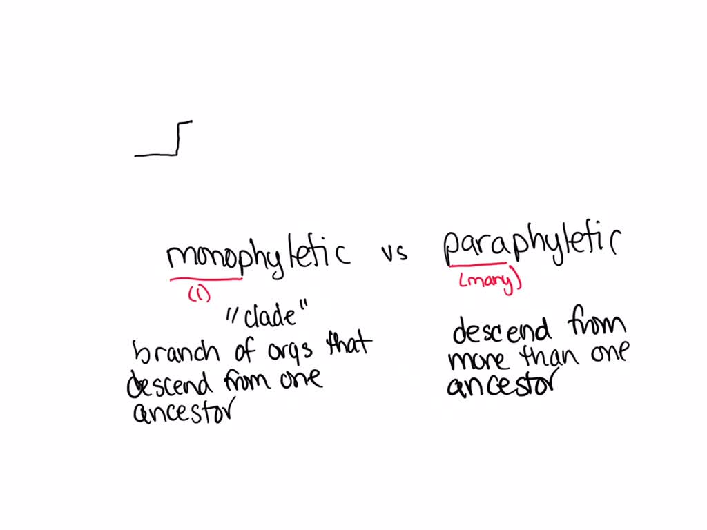 SOLVED:What is a monophyletic group? SOLVED:What is a monophyletic group?