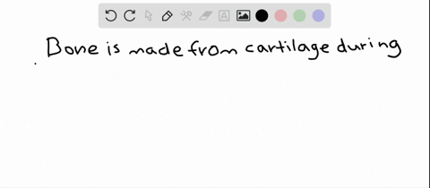 SOLVED:In which of the following does bone form from cartilage? a ...