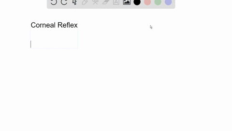 SOLVED:Watch this video (http://openstaxcollege.org/I/ reflexarc) to learn more about the reflex ...