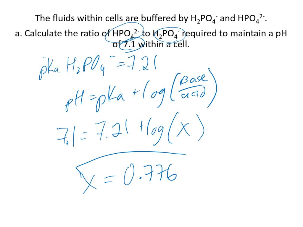 SOLVED:The fluids within cells are buffered by H2 PO4^- and HPO4^2-. a ...