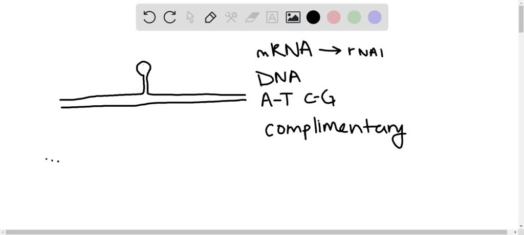 Use a molecular model kit to build an example of a DNA nucleotide ...