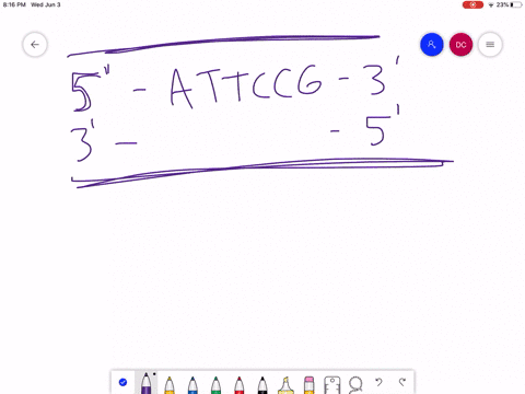One strand of DNA has the sequence 5^'- ATTCCG-3 ^' The complementary strand for this is a. 5 ...