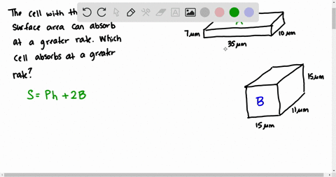 SOLVED:Plant cells are shaped approximately like a right rectangular ...