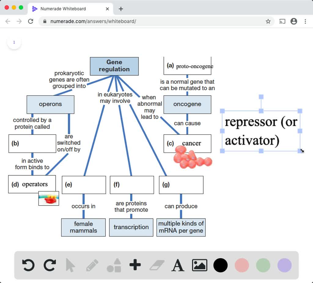 SOLVED:Complete the following concept map to test your knowledge of ...