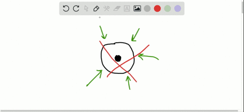 ⏩SOLVED:It seems counterintuitive that a cell, having a perfectly ...