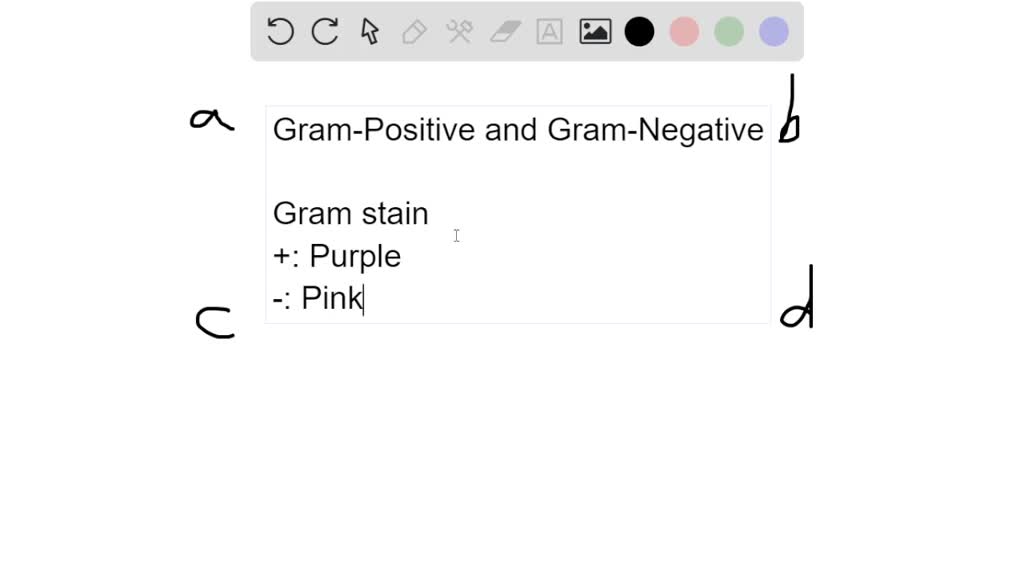 SOLVED:Gram-positive (+) and gram-negative (-) bacteria are ...