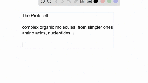 SOLVED: Human Evolution | Human Biology 11th | Numerade