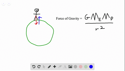 Newton’s Third Law of Motion | Conceptual Physics…