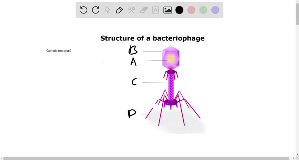 Use the figure below to answer questions 22 and 23. (FIGURE CAN'T COPY ...