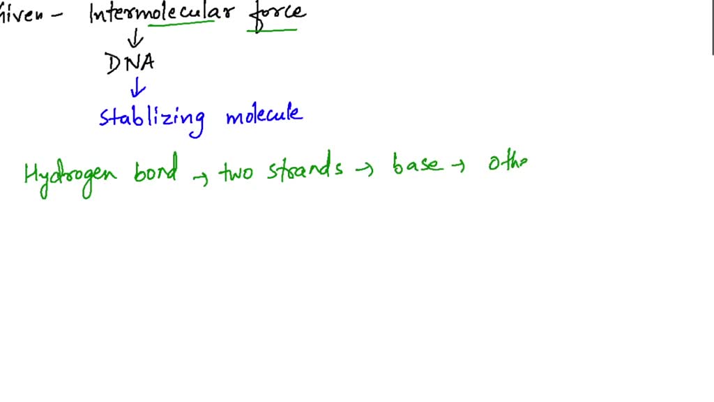 SOLVED:What kind of intermolecular attraction holds the DNA double ...