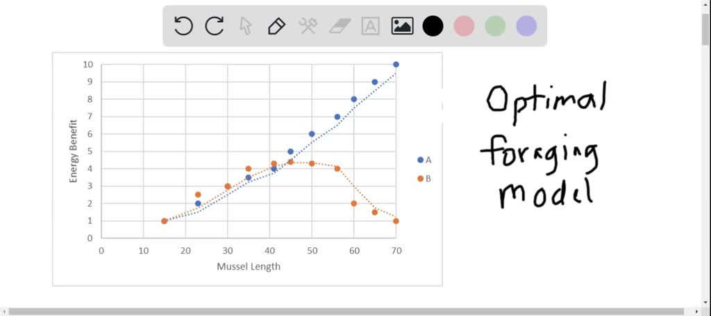 SOLVED:You are considering two optimal foraging models for the behavior ...