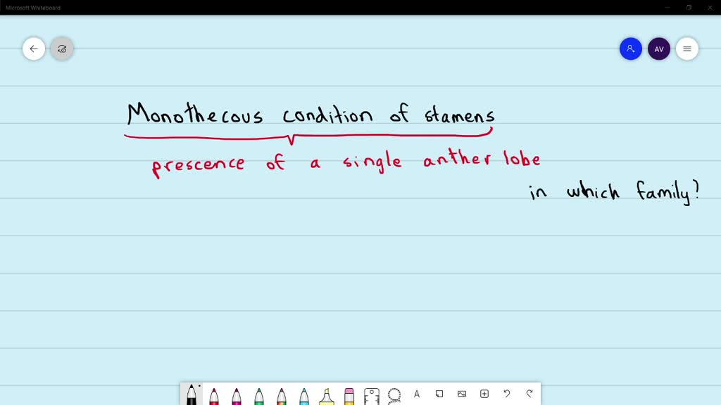 Monothecous condition of stamens ie. presence of a single anther lobe ...