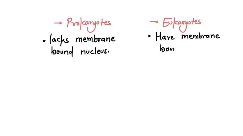 ⏩SOLVED:Diagram the derivation of the different blood cell lines ...