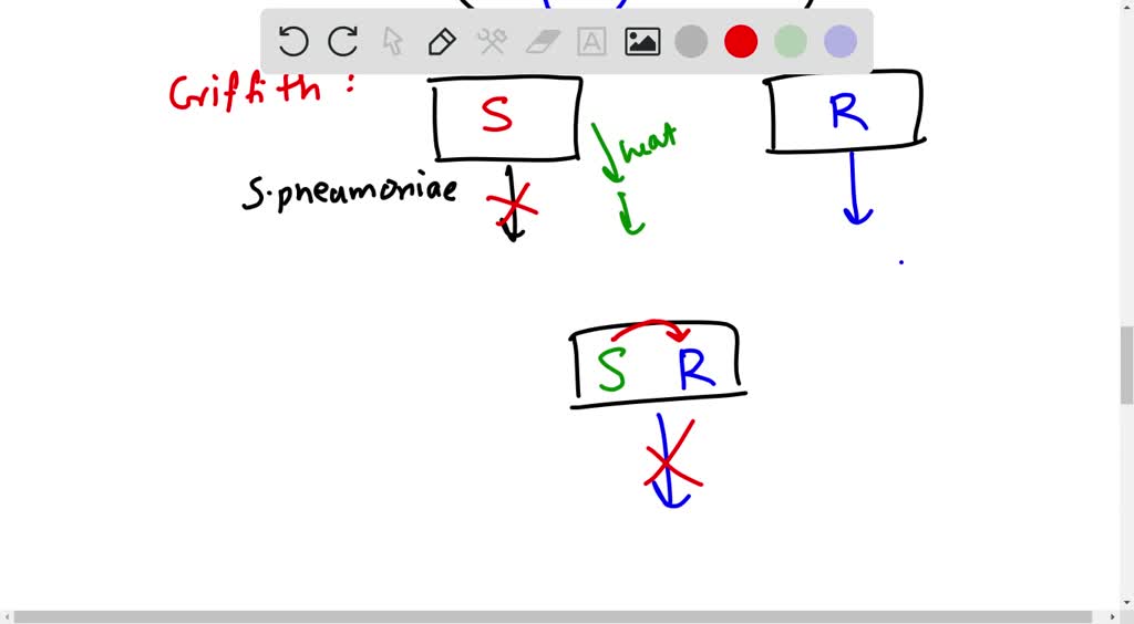 What is transformation? How did Avery and his colleagues demonstrate ...