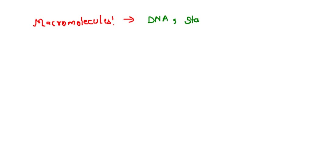 SOLVED:Which is/are macromolecule here? (a) DNA (b) Starch (c ...