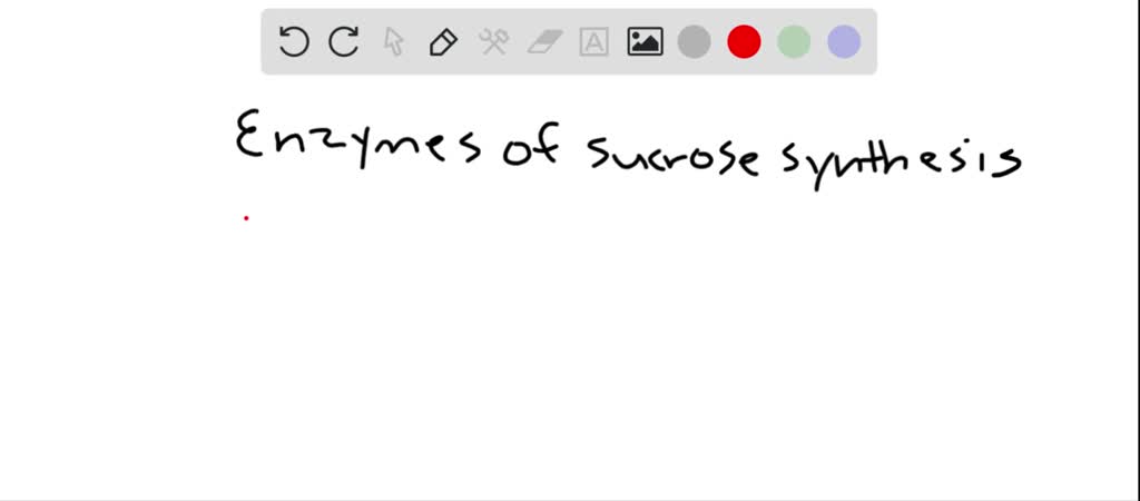 SOLVED:Sucrose synthase is a plant enzyme that catalyzes the ...