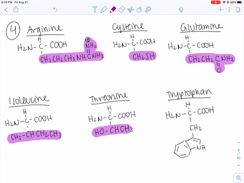SOLVED:Consider the amino acids arginine, cysteine, glutamine ...