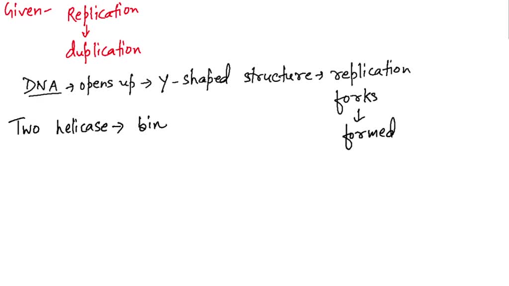 SOLVED:Before about 1960 it wasn't clear whether both replicating DNA ...