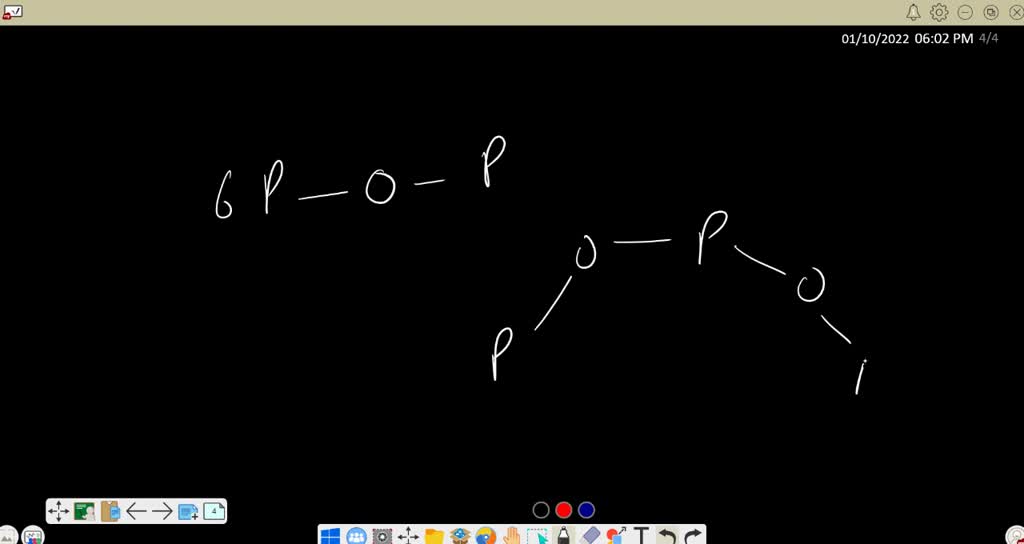 Solved The Number Of P O P Bridges In The Structure Of Phosphorus