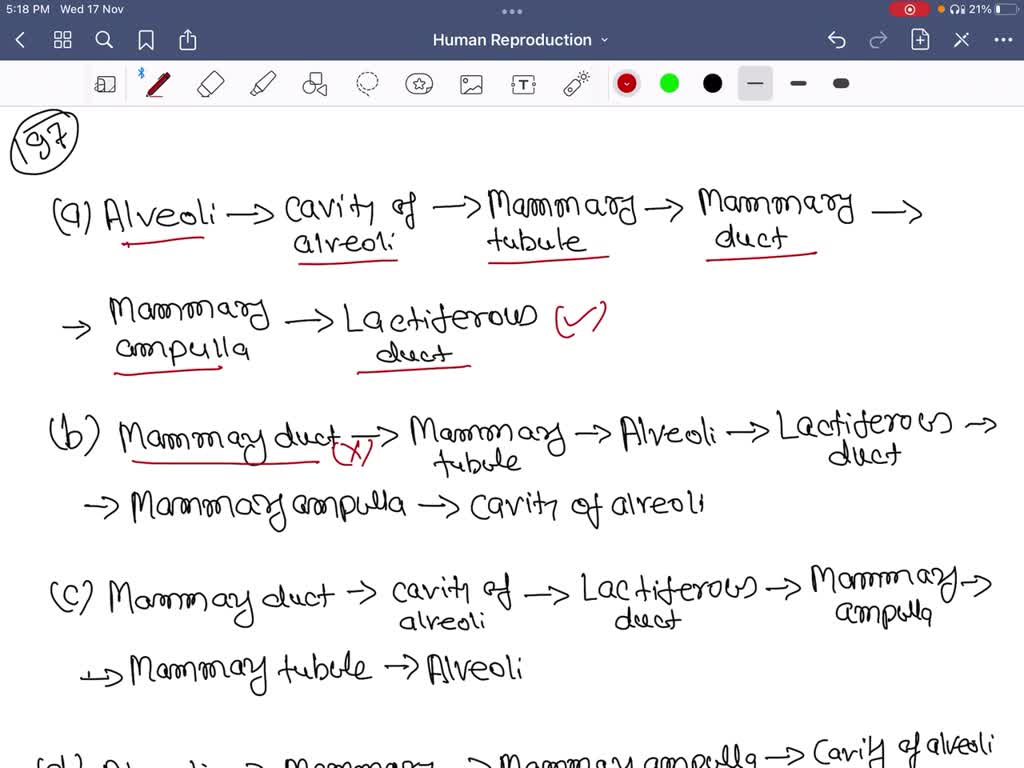 Which is the correct path for the secretion and transport of milk in ...