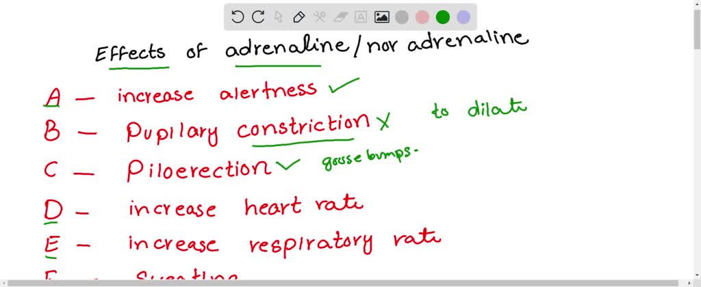 SOLVED:A. Increase alertness B. Pupilary constriction C. Piloerection D ...