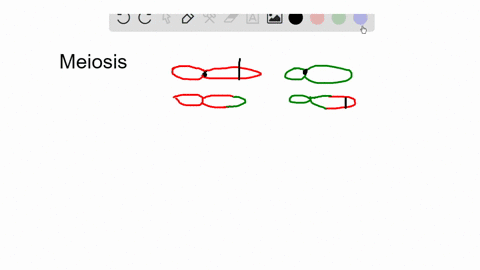 SOLVED:Based on Figure 17-30, are normal genomes ever formed from the ...