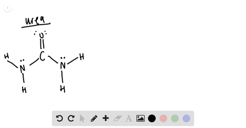 ⏩SOLVED:Apply Urea, whose structure is shown below, is a compound… | Numerade