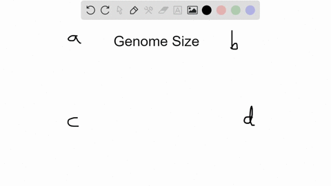 SOLVED:Which group of organisms has the smallest genome? a. Plants b ...