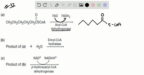 SOLVED:Complete the equation for each reaction. a.Figure can`t copy b ...